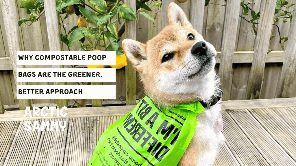 Why Compostable Poop Bags are the Greener, Better Approach