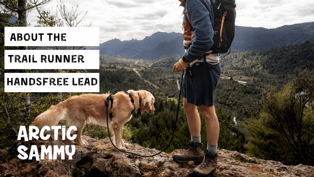 How to use the Trail Runner Lead