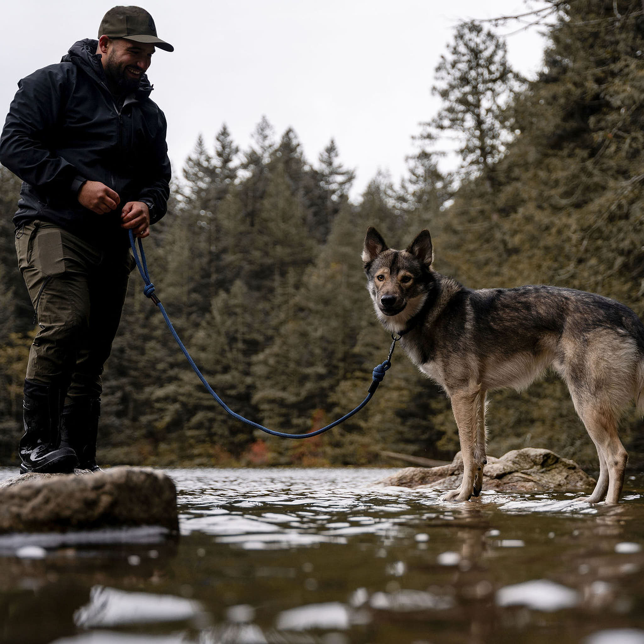 Everyday Dog Leashes | Arctic Sammy