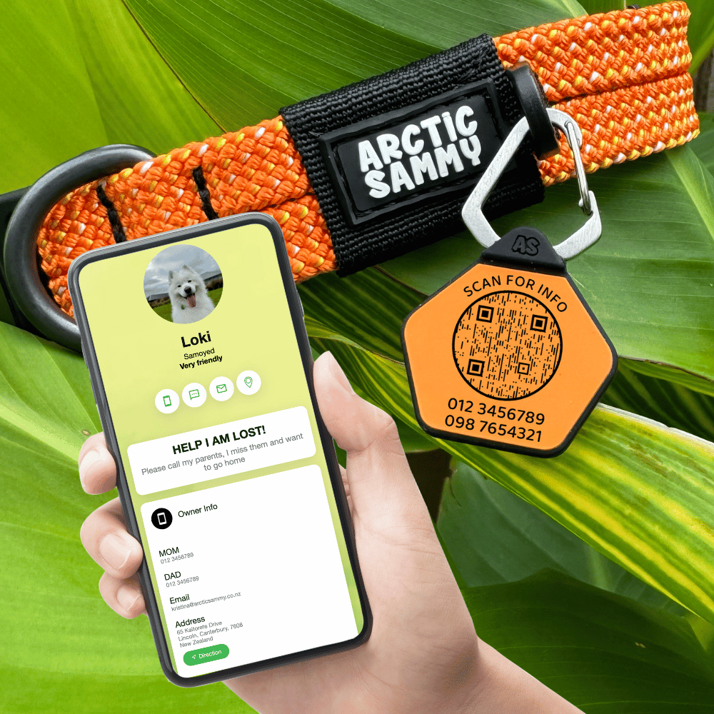 QR Code Dog ID Tags