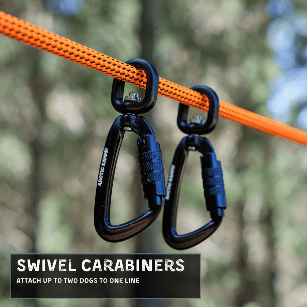 Basecamp Dog Camping Zipline | Arctic Sammy