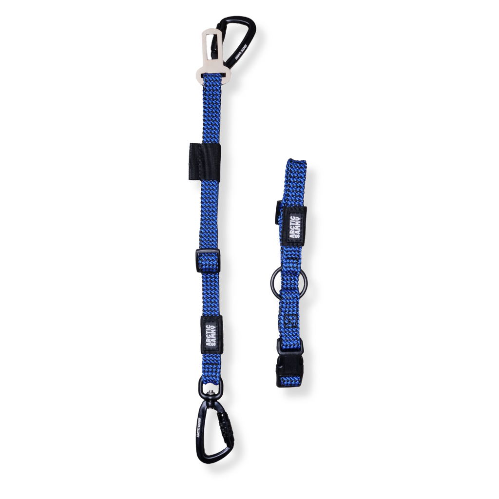 3-in-1 Dog Car Tether Benmore | Arctic Sammy