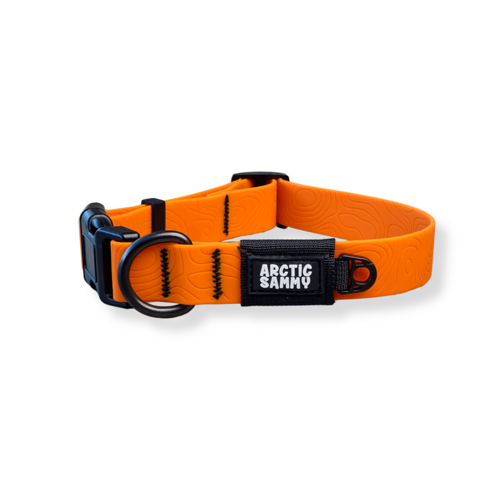 Orange Terraflow Waterproof Dog Collar | Arctic Sammy