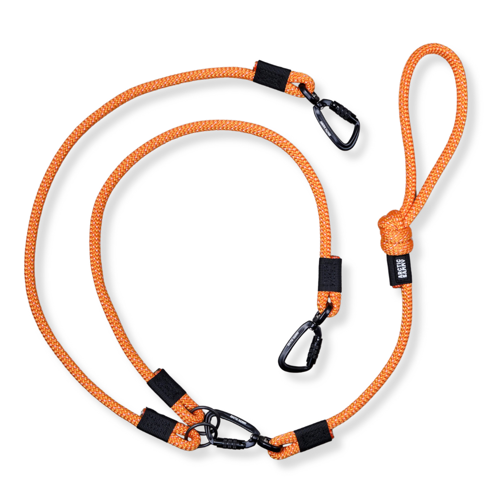 Hawea Double Dog Leash | Arctic Sammy