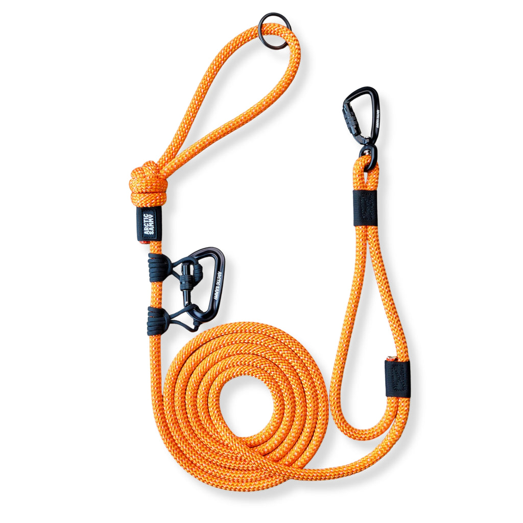 Hawea Trail Runner Handsfree Dog Leash | Arctic Sammy