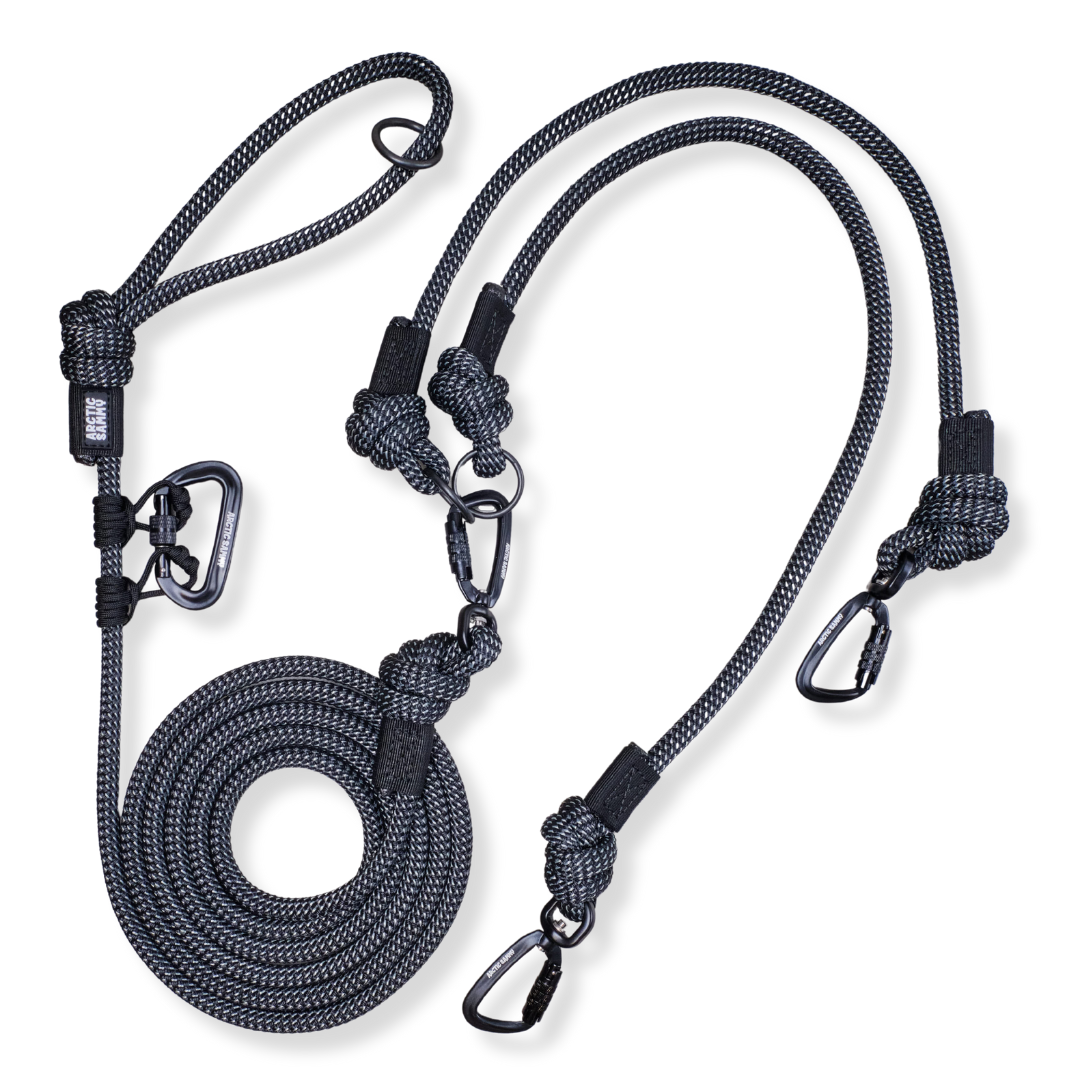 Mackenzie Handsfree Double Dog Leash | Arctic Sammy