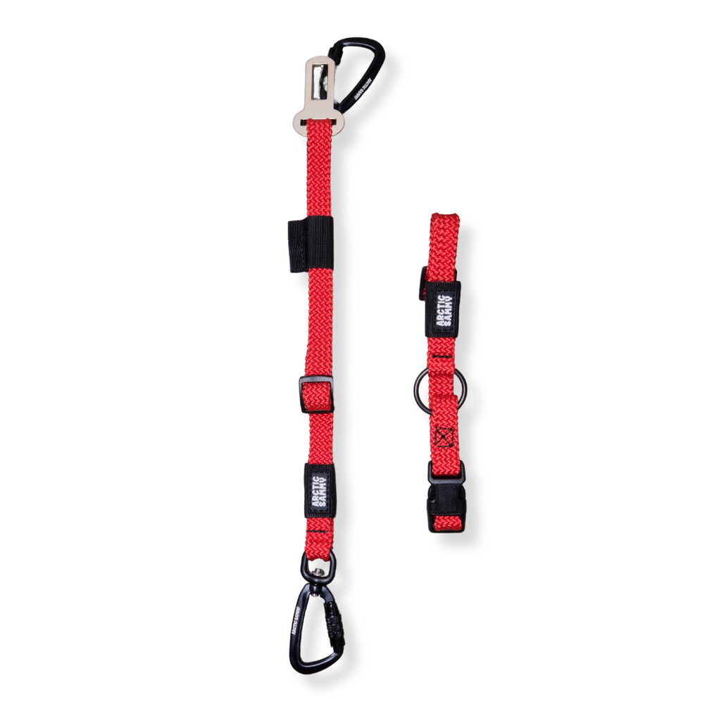3-in-1 Dog Car Tether Monowai | Arctic Sammy