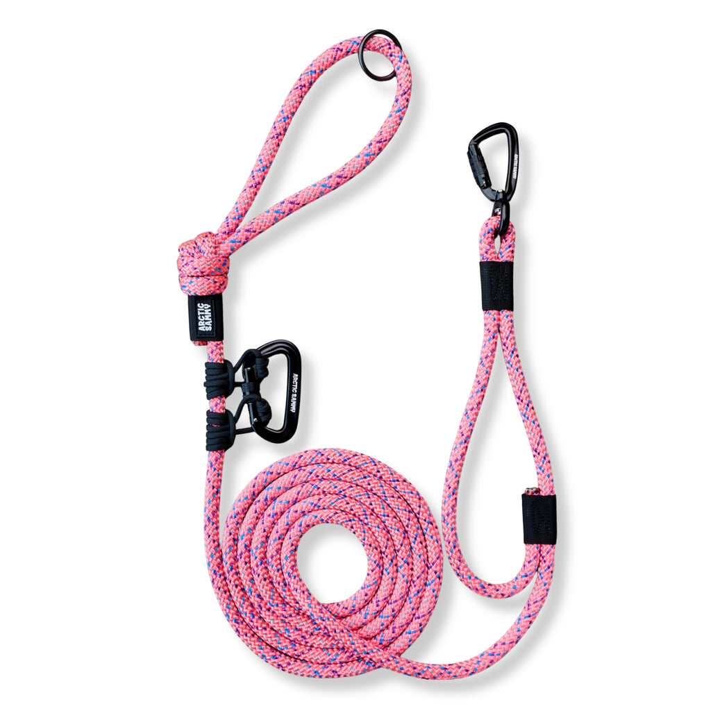 Ohau Trail Runner Handsfree Dog Leash | Arctic Sammy
