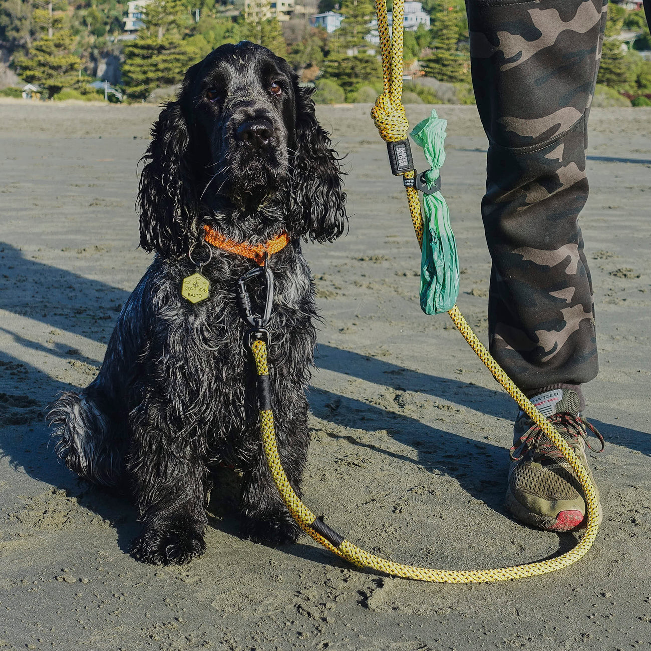 Poop Loop | Arctic Sammy