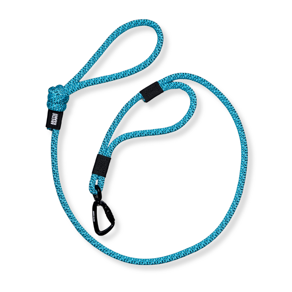 Pukaki Rope Dog Leash | Arctic Sammy