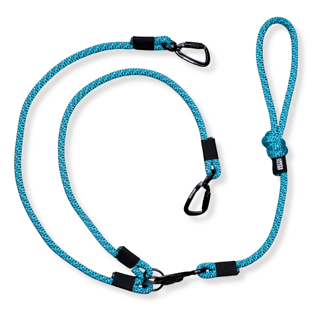 Pukaki Double Dog Leash | Arctic Sammy