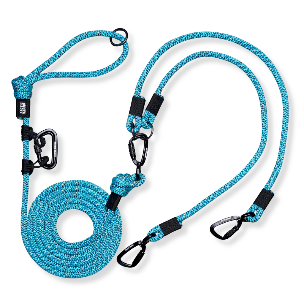 Pukaki Handsfree Double Dog Leash | Arctic Sammy