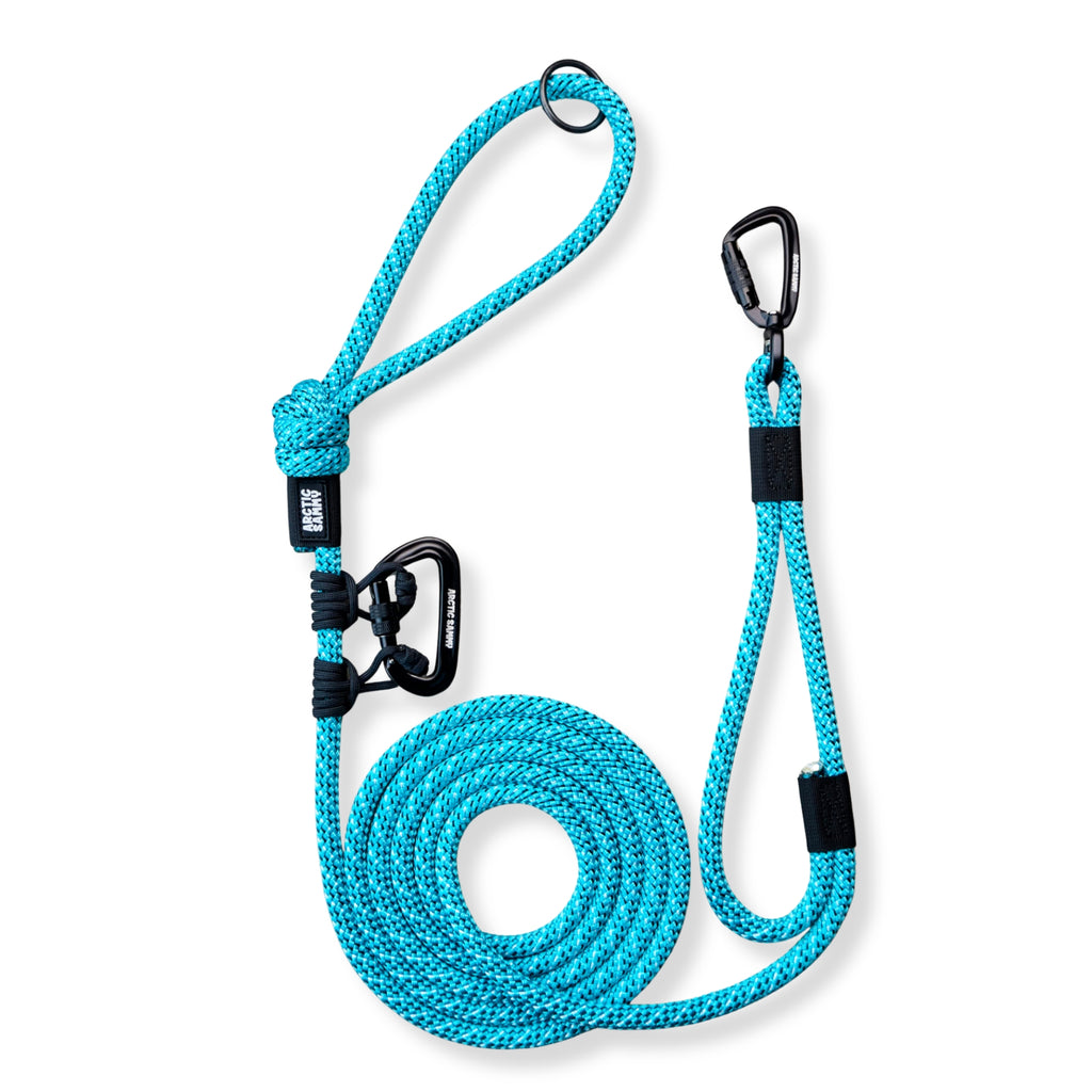 Pukaki Trail Runner Handsfree Dog Leash | Arctic Sammy