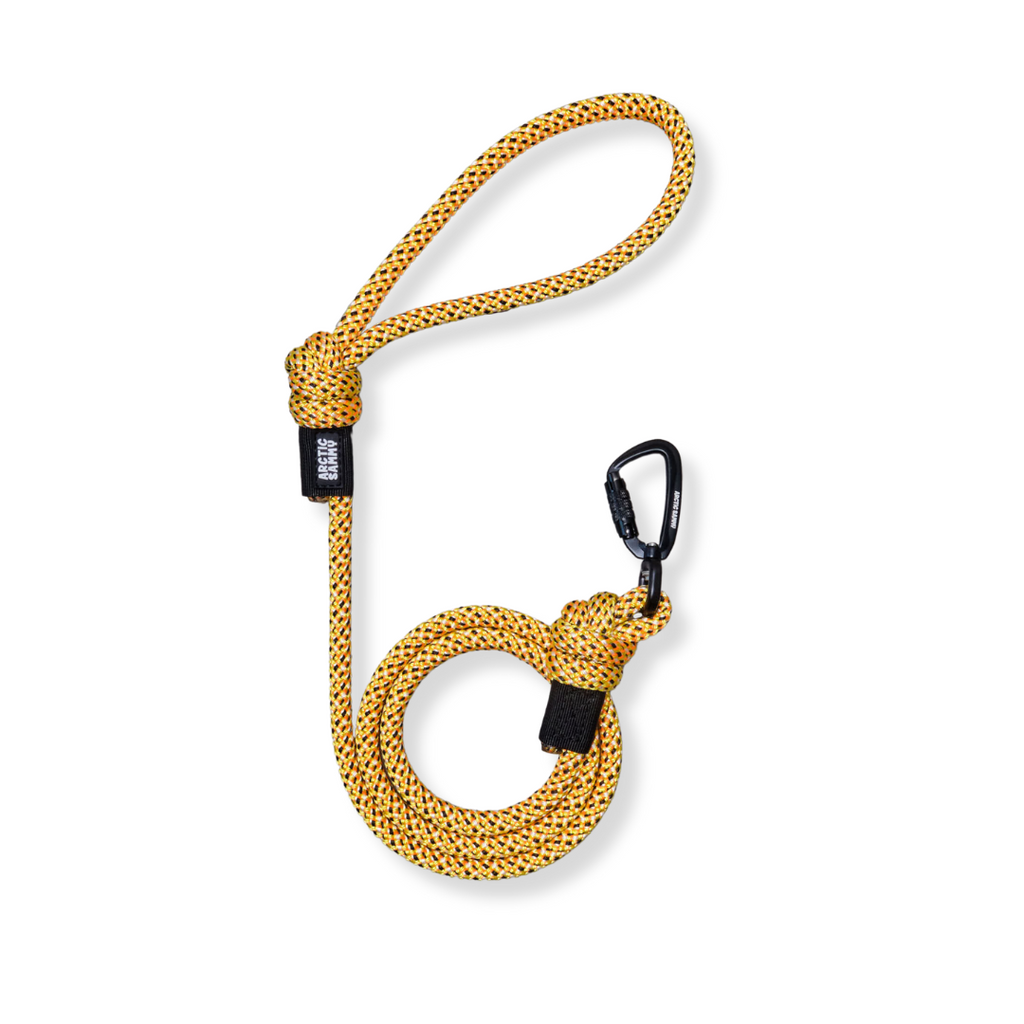 Raglan Rope Dog Leash | Arctic Sammy