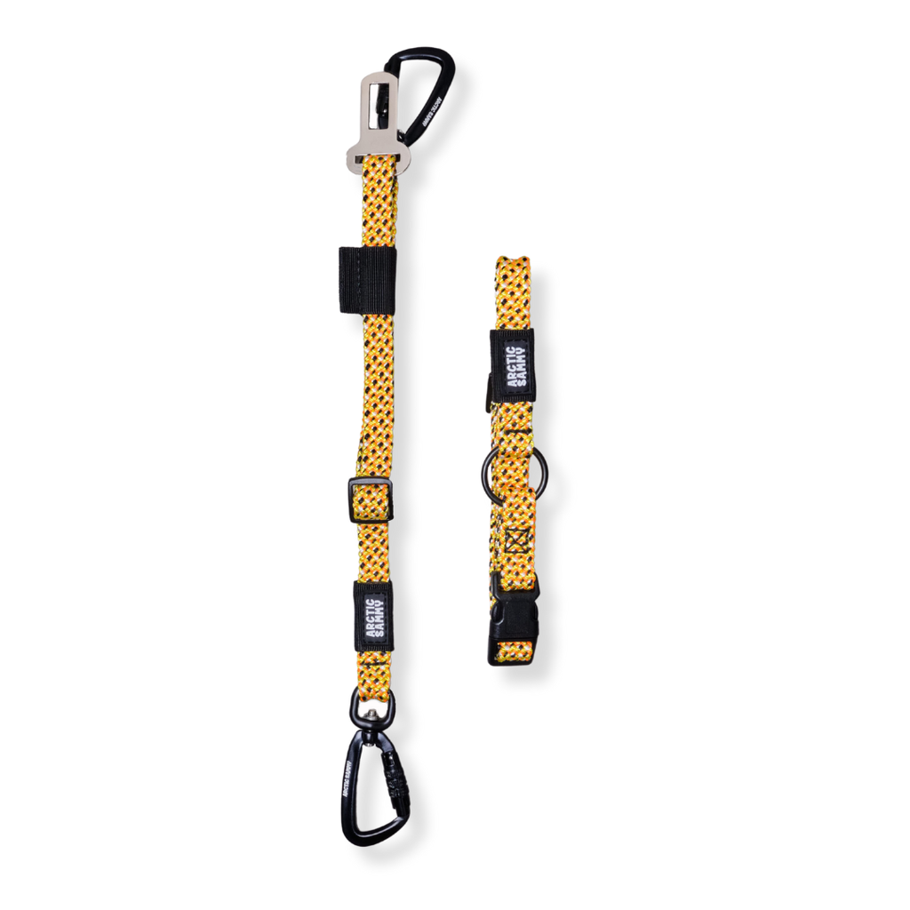3-in-1 Dog Car Tether Raglan | Arctic Sammy
