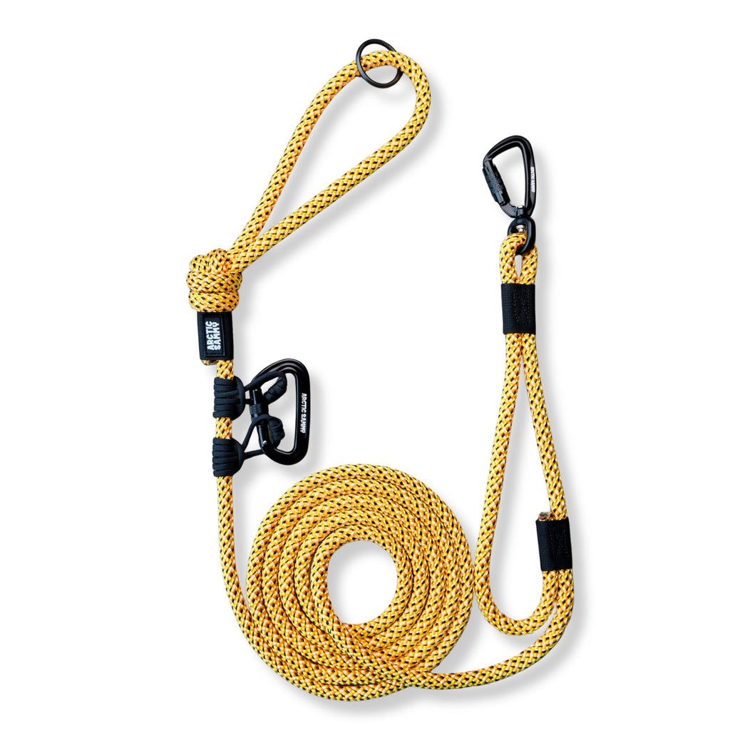 Raglan Trail Runner Handsfree Dog Leash | Arctic Sammy