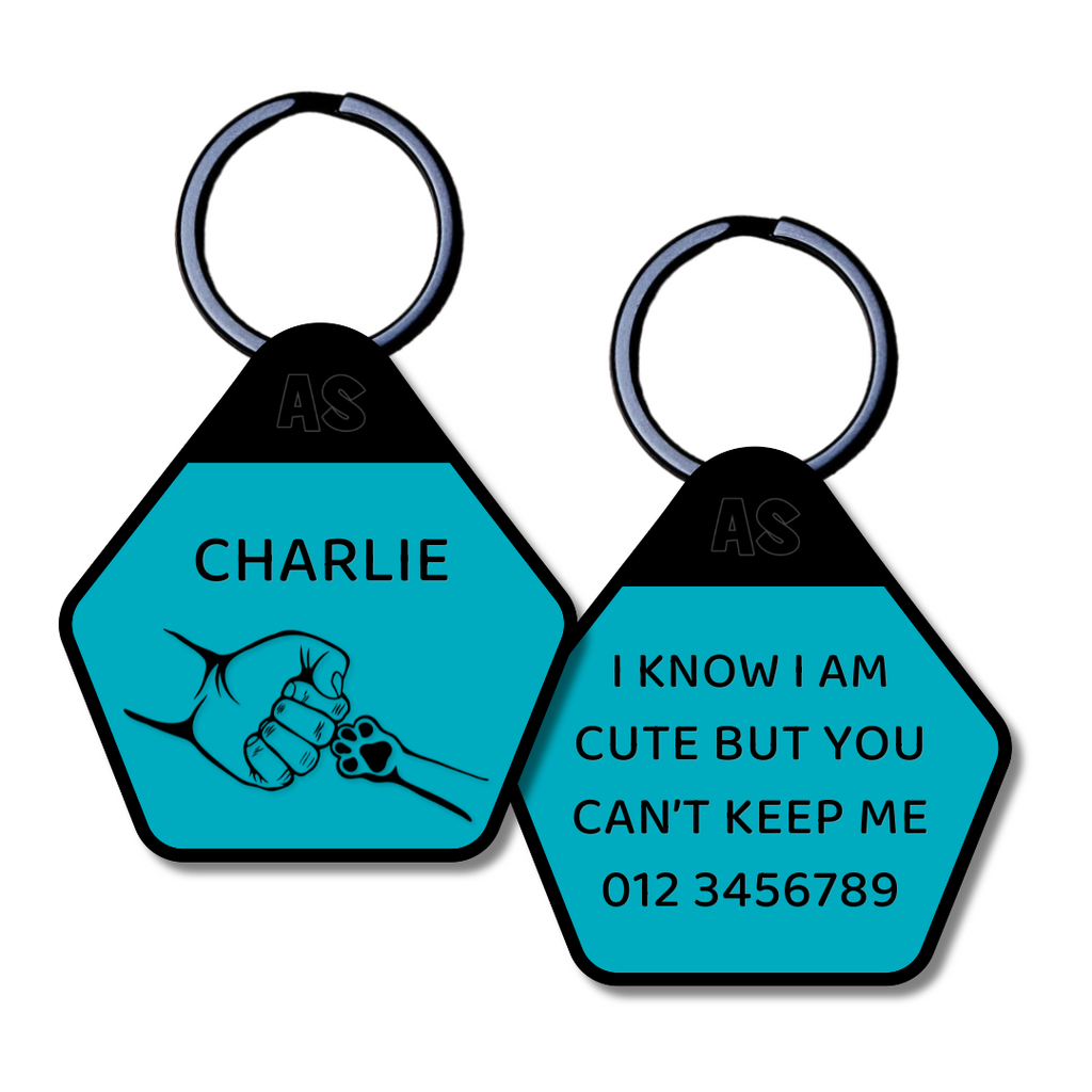 Dog ID Tag - Charlie | Arctic Sammy