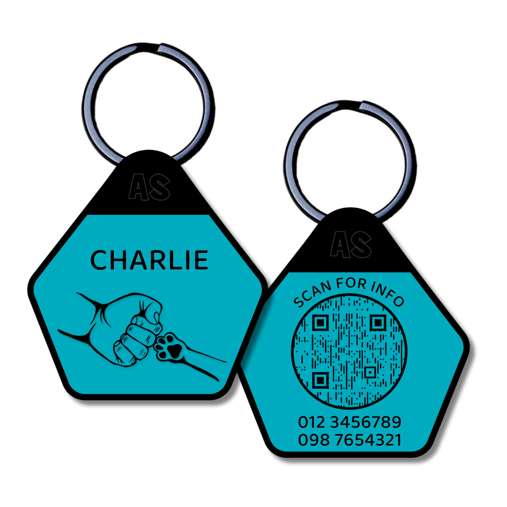Dog ID Tag - Charlie | Arctic Sammy