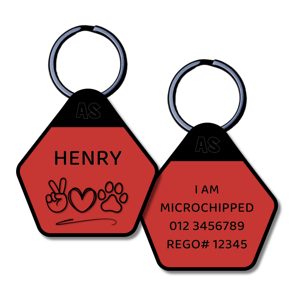 Dog ID Tag - Henry | Arctic Sammy