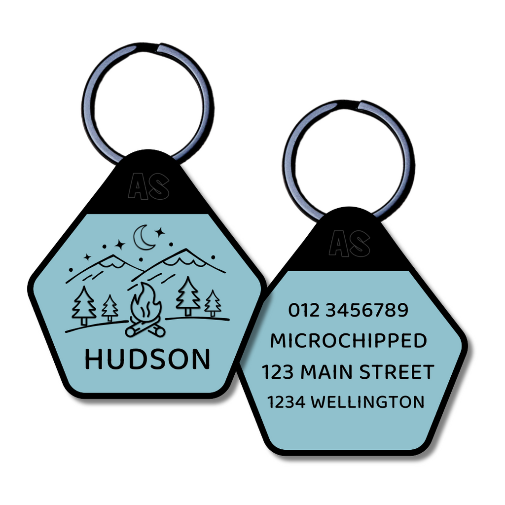 Dog ID Tag - Hudson | Arctic Sammy