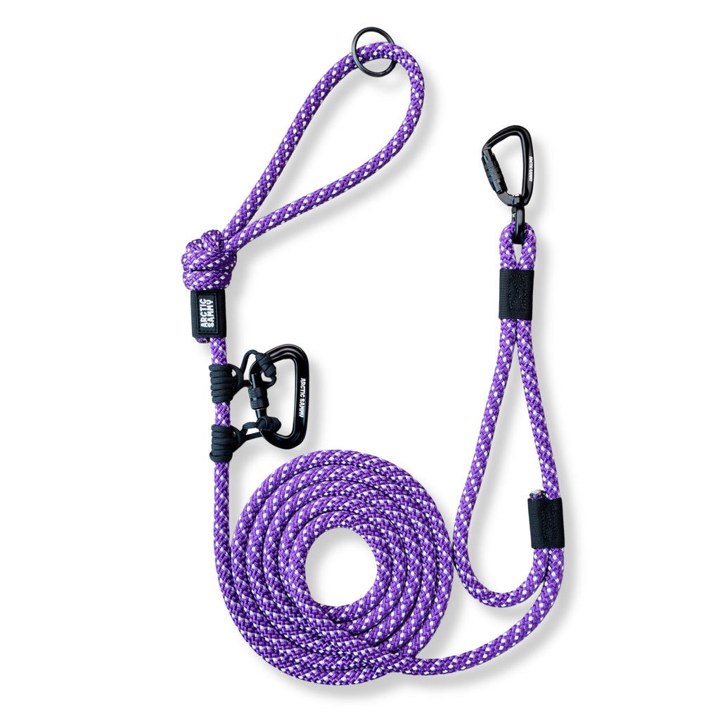 Waihai Trail Runner Handsfree Dog Leash | Arctic Sammy
