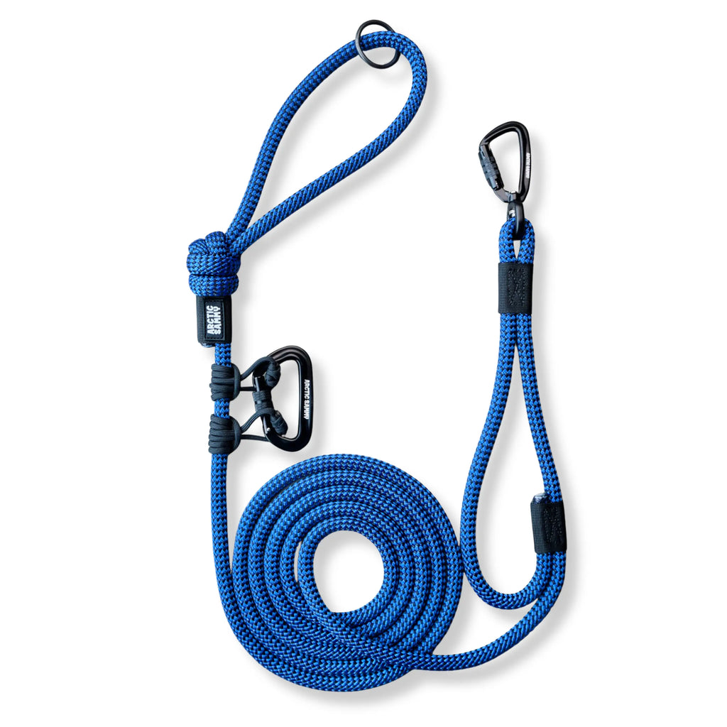 Benmore Trail Runner Handsfree Dog Leash | Arctic Sammy
