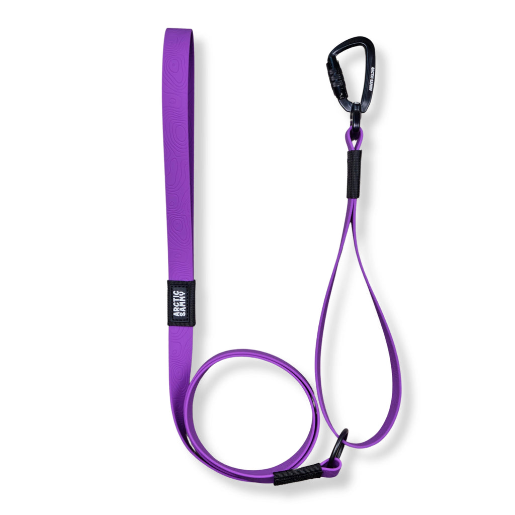 Purple Terraflow Traffic Handle Leash | Arctic Sammy